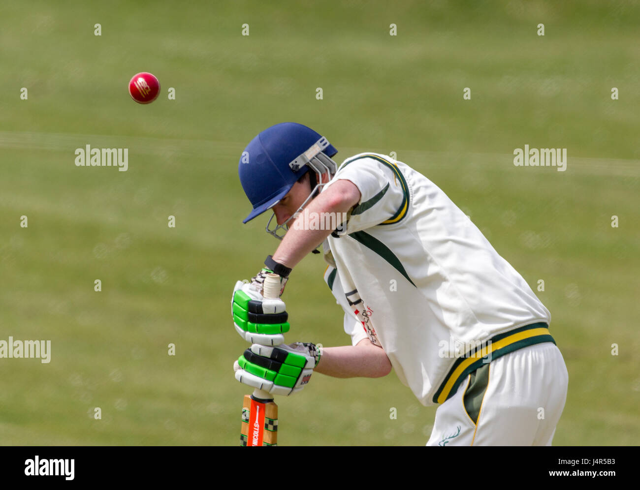 Cricket green village sussex hi-res stock photography and images - Alamy