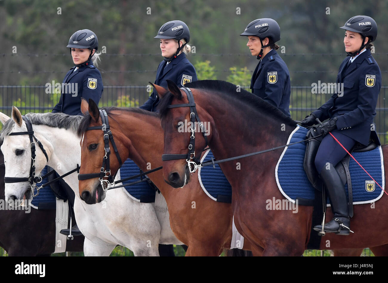 Mounted police officers can be seen during the open day on the grounds ...