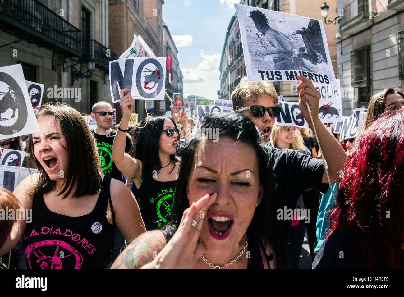 Against bull fighting hi-res stock photography and images - Alamy