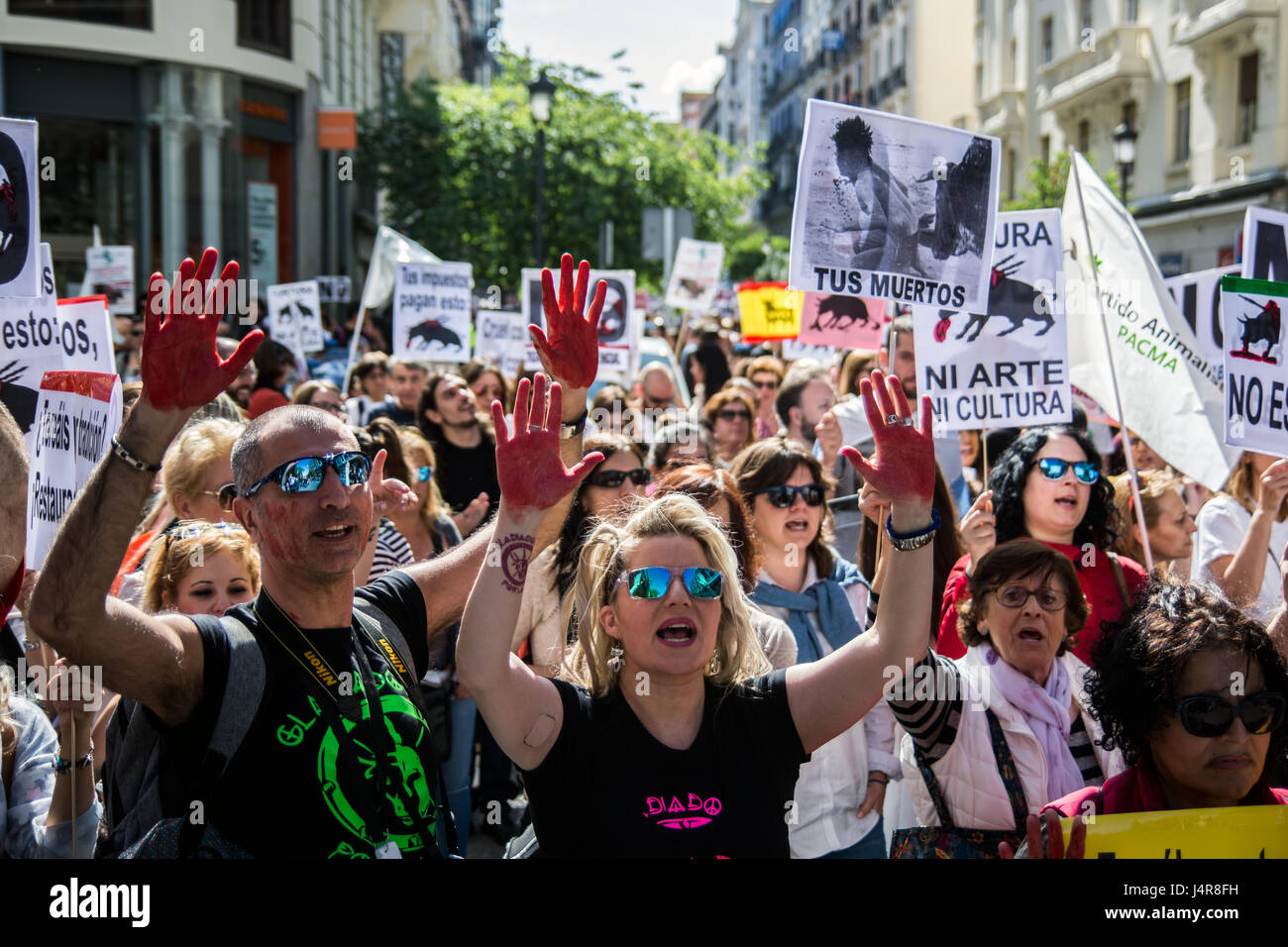 Anti bullfights protesters hi-res stock photography and images - Alamy