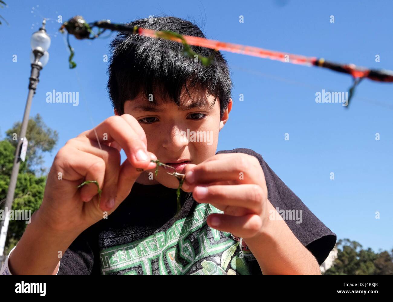 Los Angeles, USA. 13th May, 2017. A boy participates in fish training ...