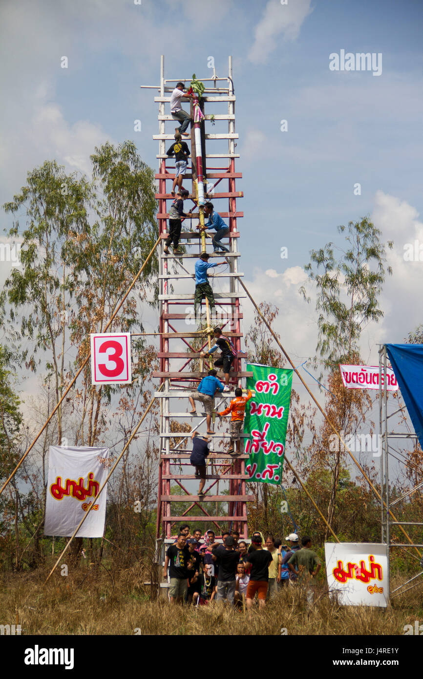 Yaothon hi-res stock photography and images - Alamy