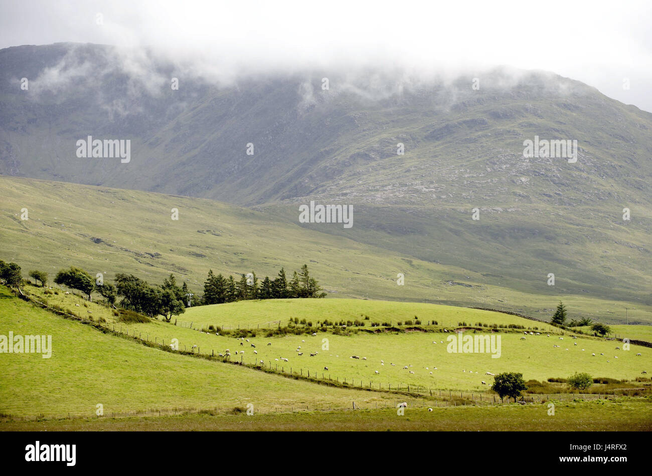 Ireland and mayo hi-res stock photography and images - Alamy
