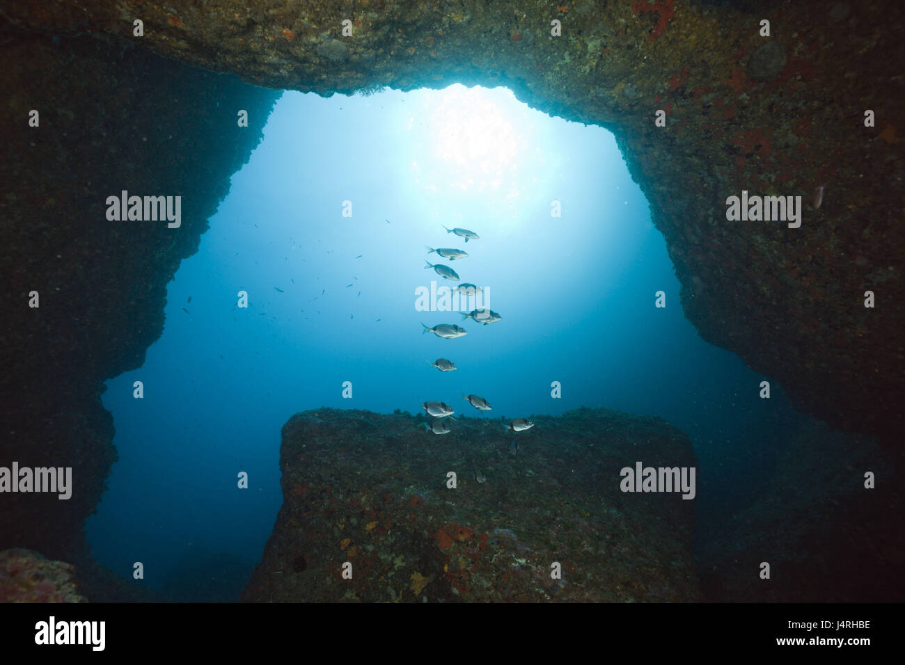Pit 2 hi-res stock photography and images - Alamy