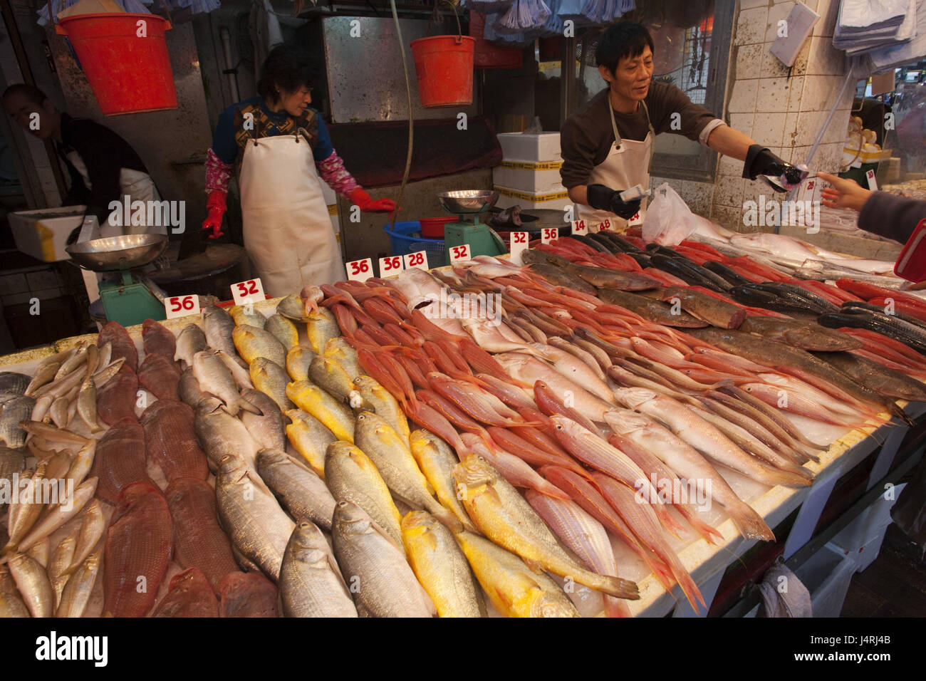 China, Hong Kong, Wanchai, fish market, dealer, sales, food fish Stock ...