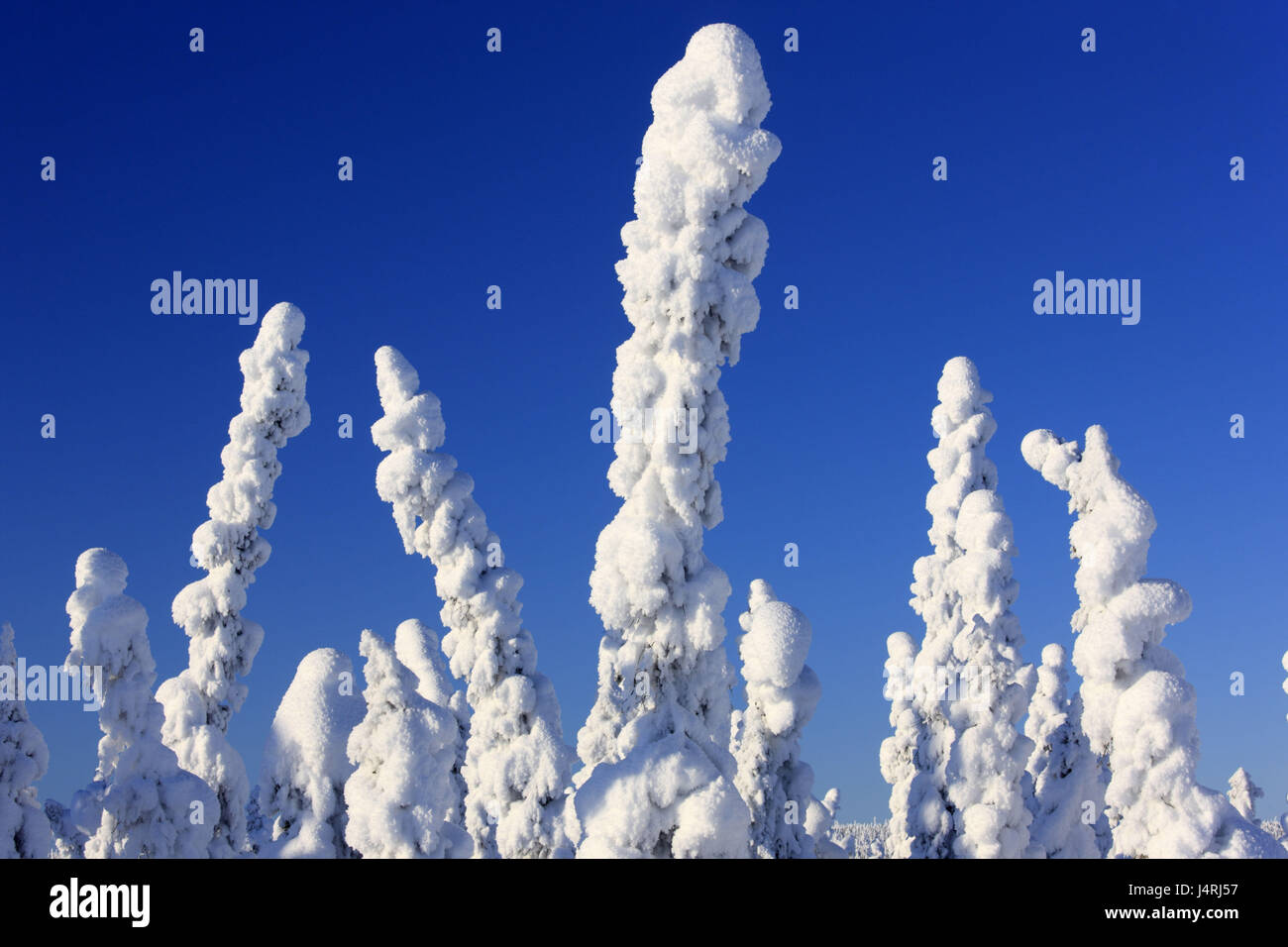 Eagle plains yukon territory canada hi-res stock photography and images ...
