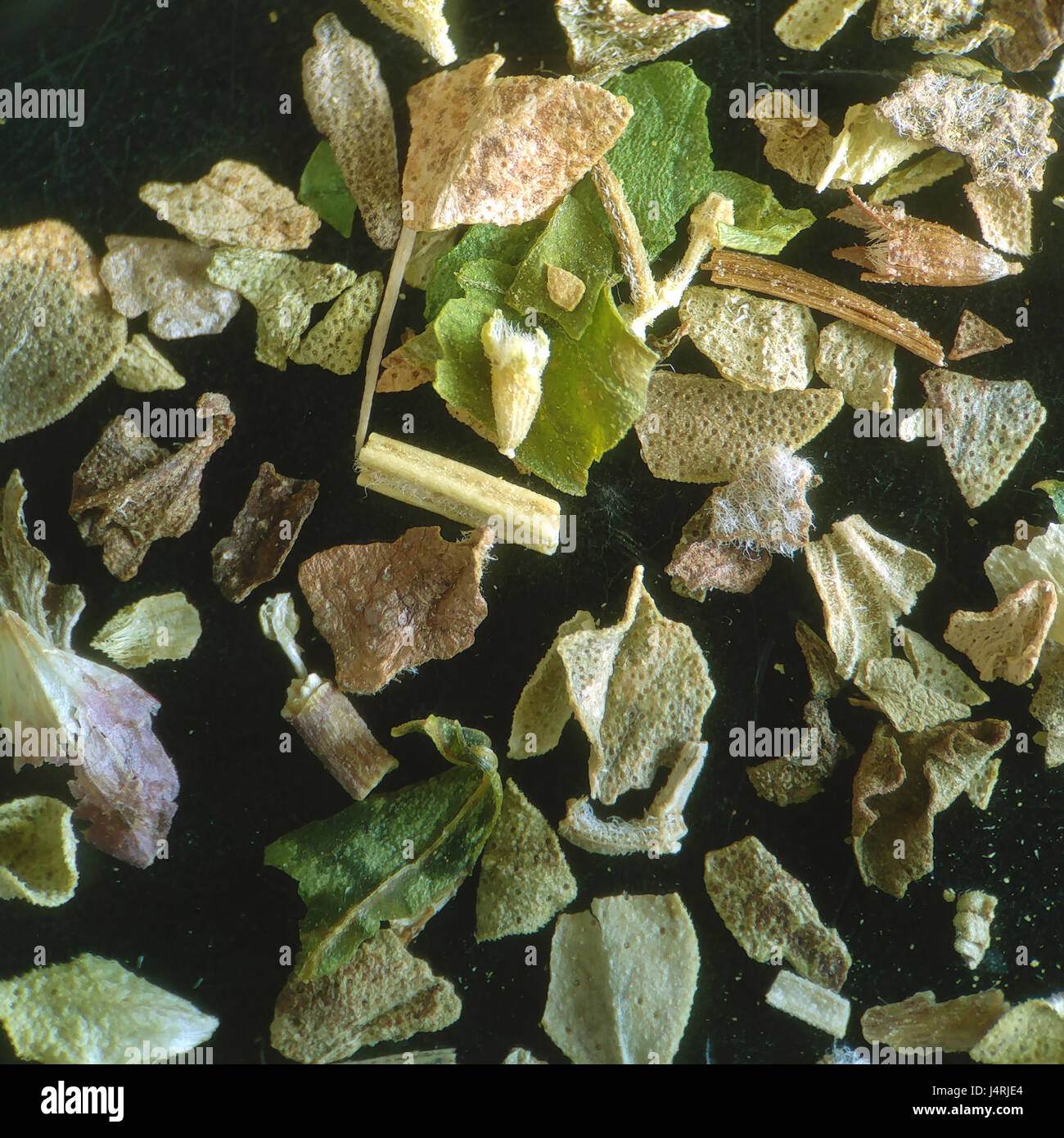 Mixed herbs against a black background, taken under a microscope at 10x ...