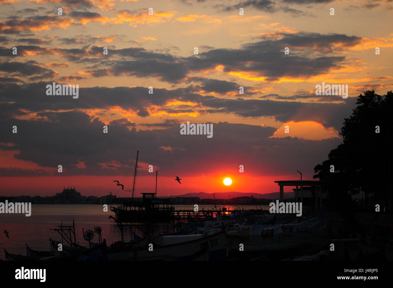 Sunset With Lens Refraction