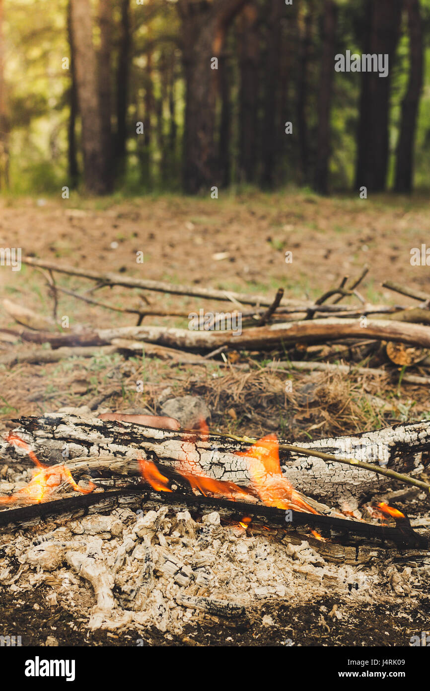 The fire in the forest vertical Stock Photo - Alamy