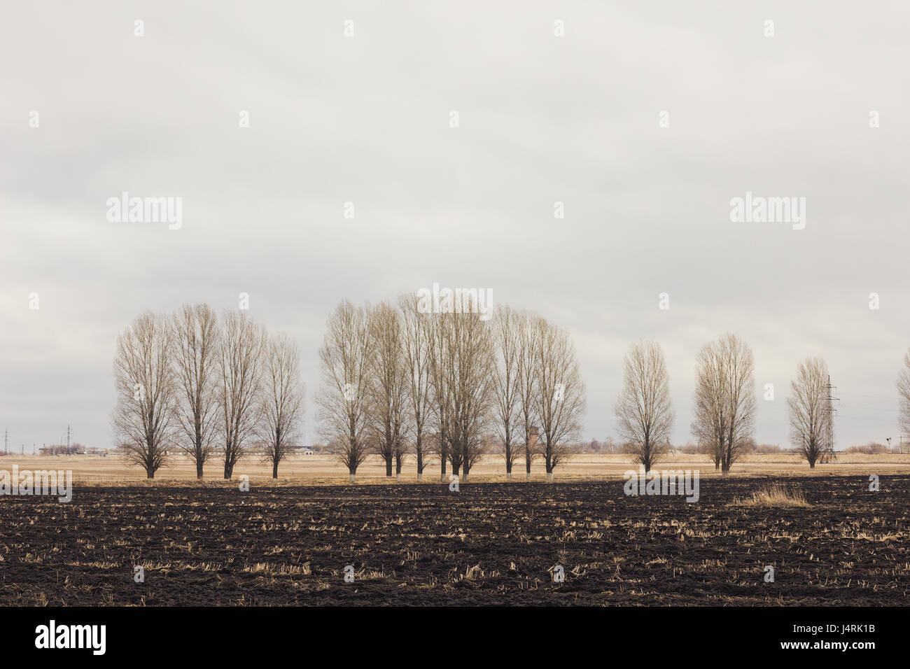Spring dull landscape country hi-res stock photography and images - Alamy