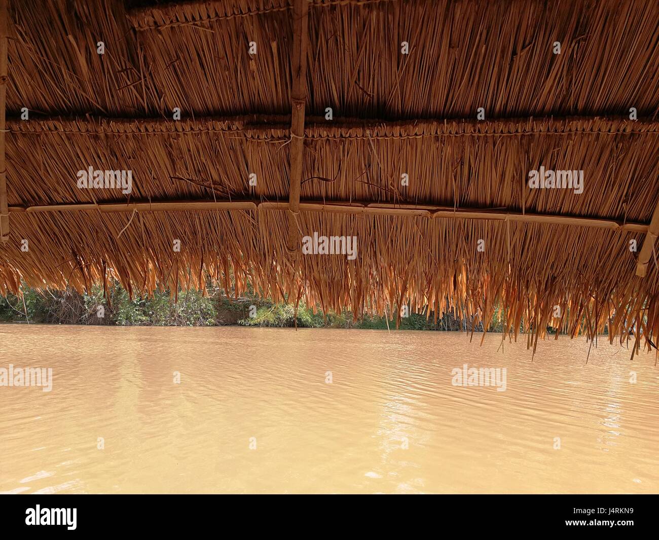 Reed roof texture hi-res stock photography and images - Alamy