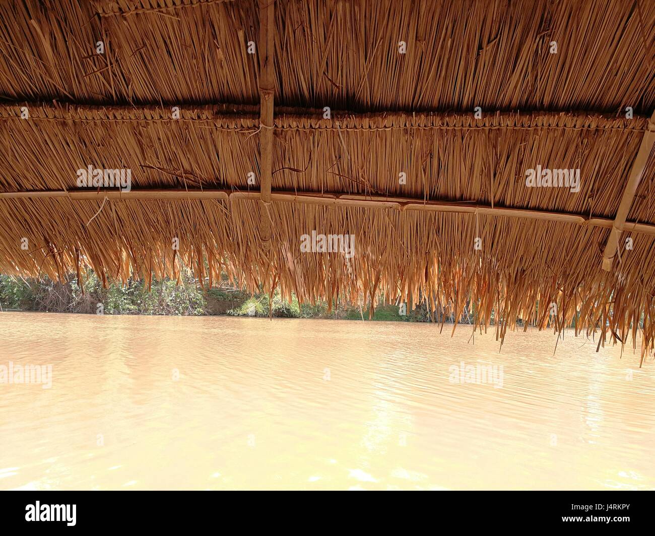 roof made from dry grass at river Stock Photo - Alamy