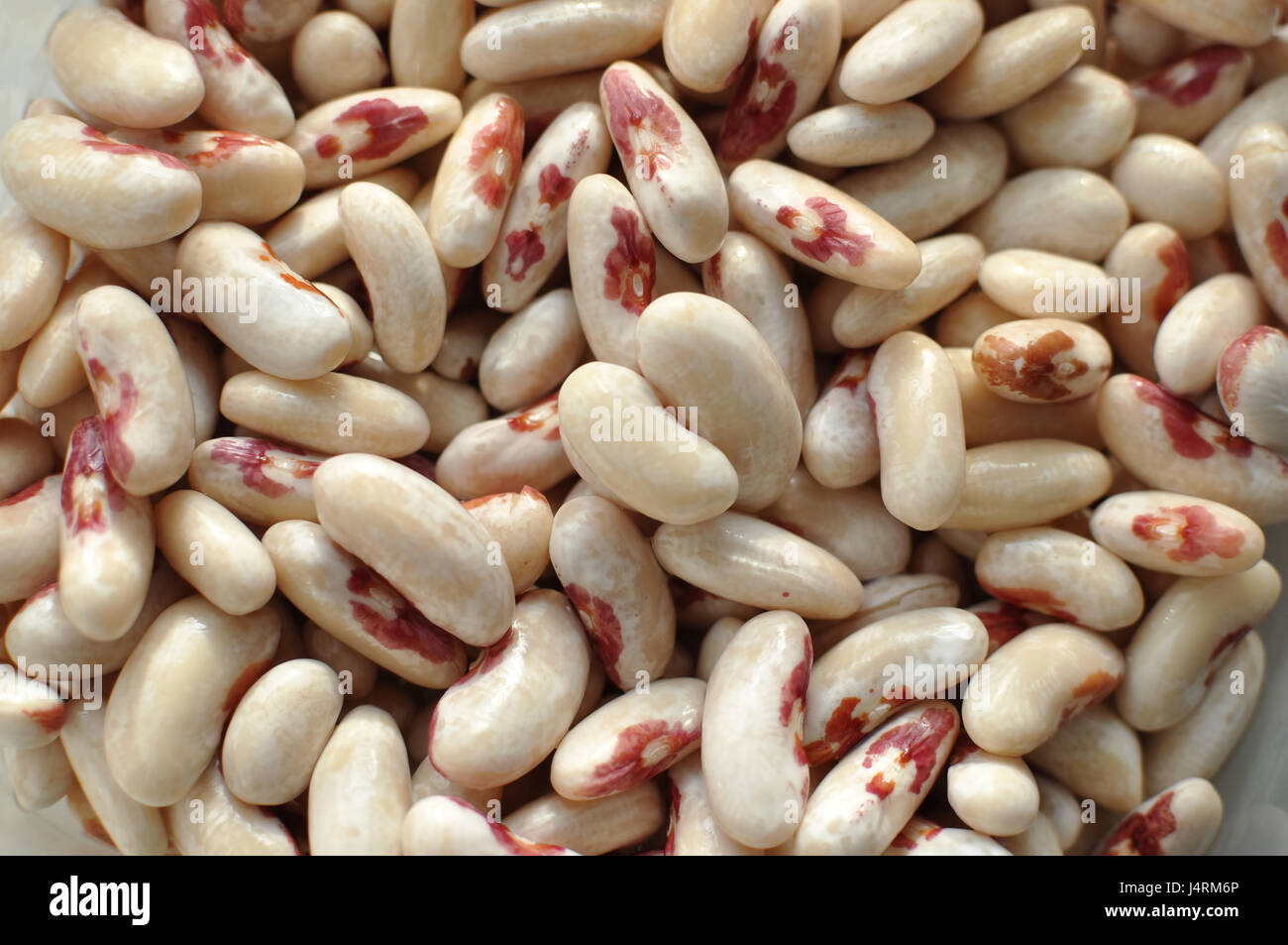 Scattered white motley haricot beans. Top view Stock Photo - Alamy