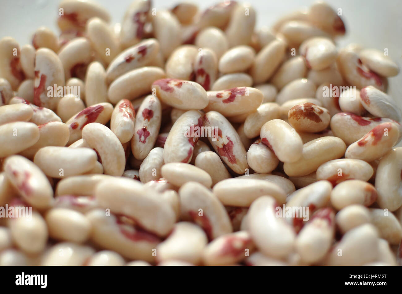 Scattered white motley haricot beans. Top view Stock Photo - Alamy