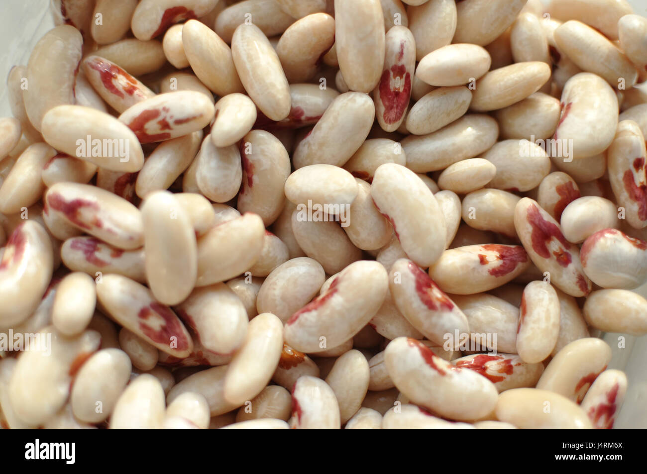 Scattered white motley haricot beans. Top view Stock Photo - Alamy