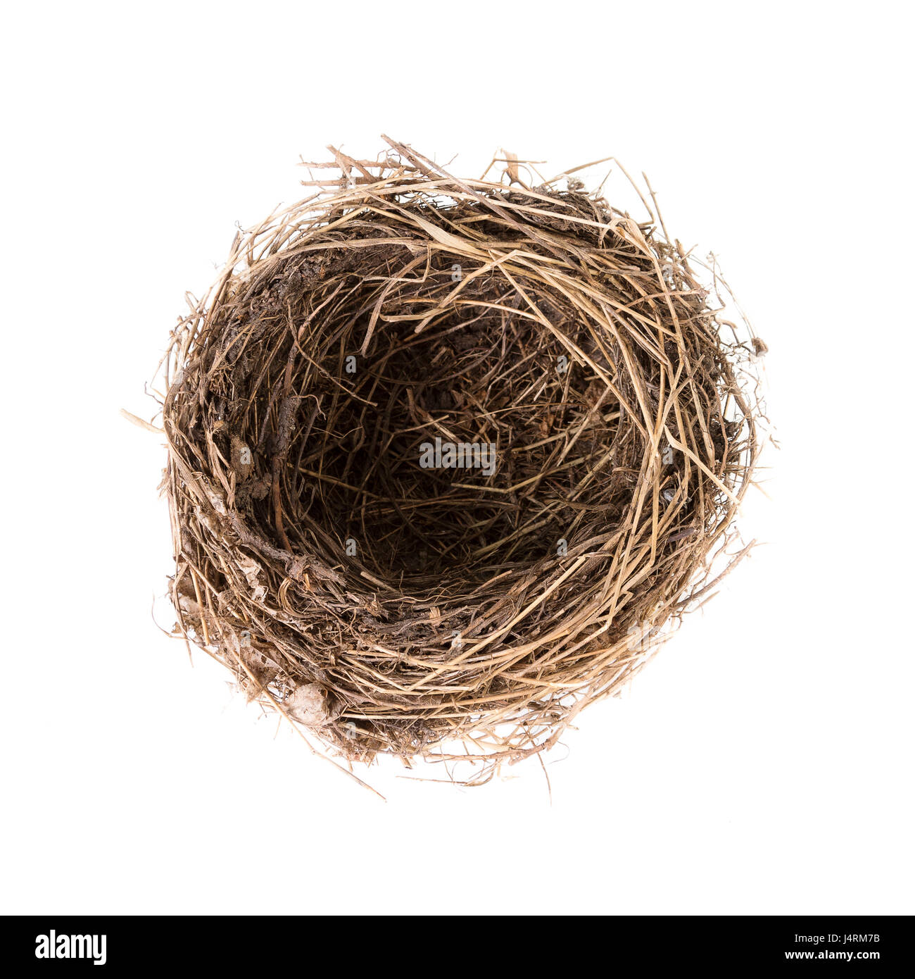 Empty nest hi-res stock photography and images - Alamy
