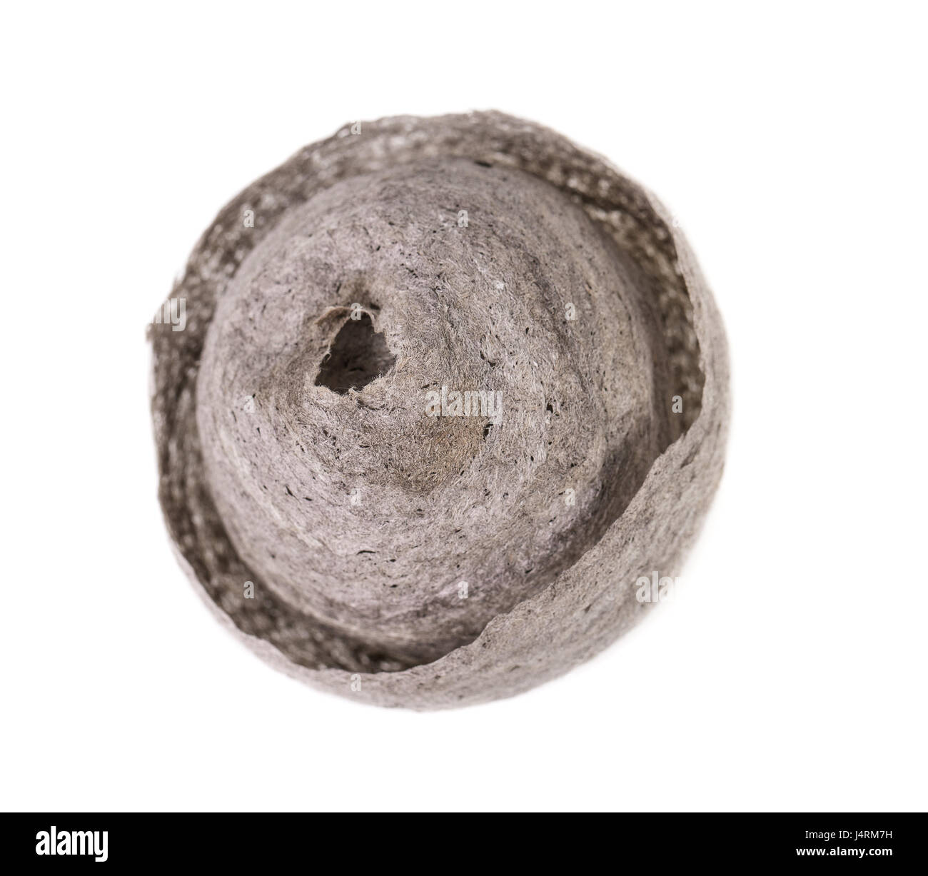 Wasp nest grey Cut Out Stock Images & Pictures - Alamy