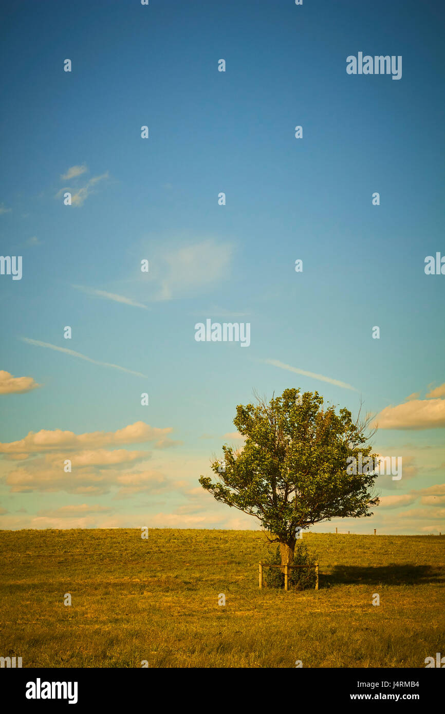 Empty pasture hi-res stock photography and images - Alamy