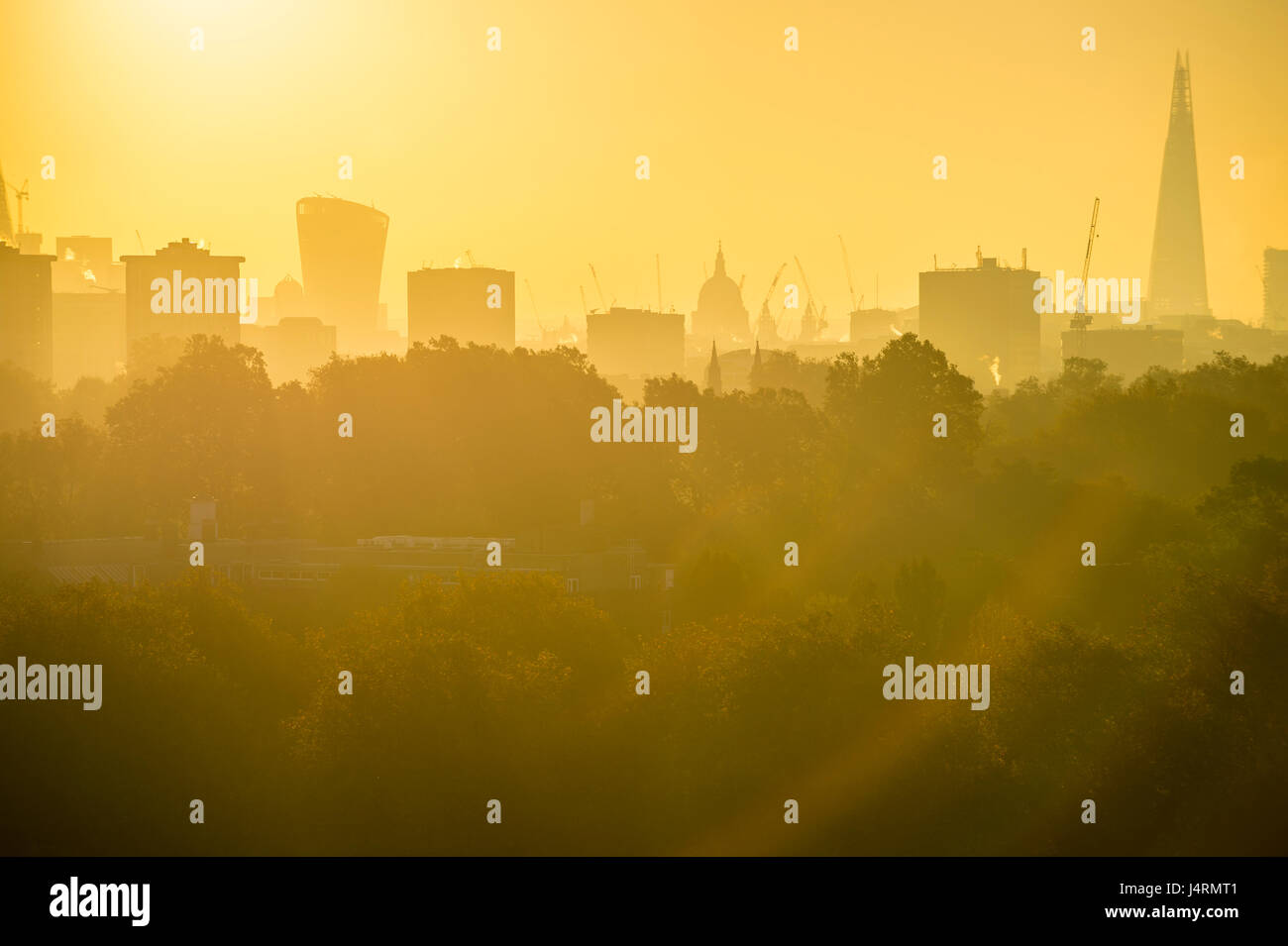 Golden sunrise city skyline view of London, England with autumn trees ...