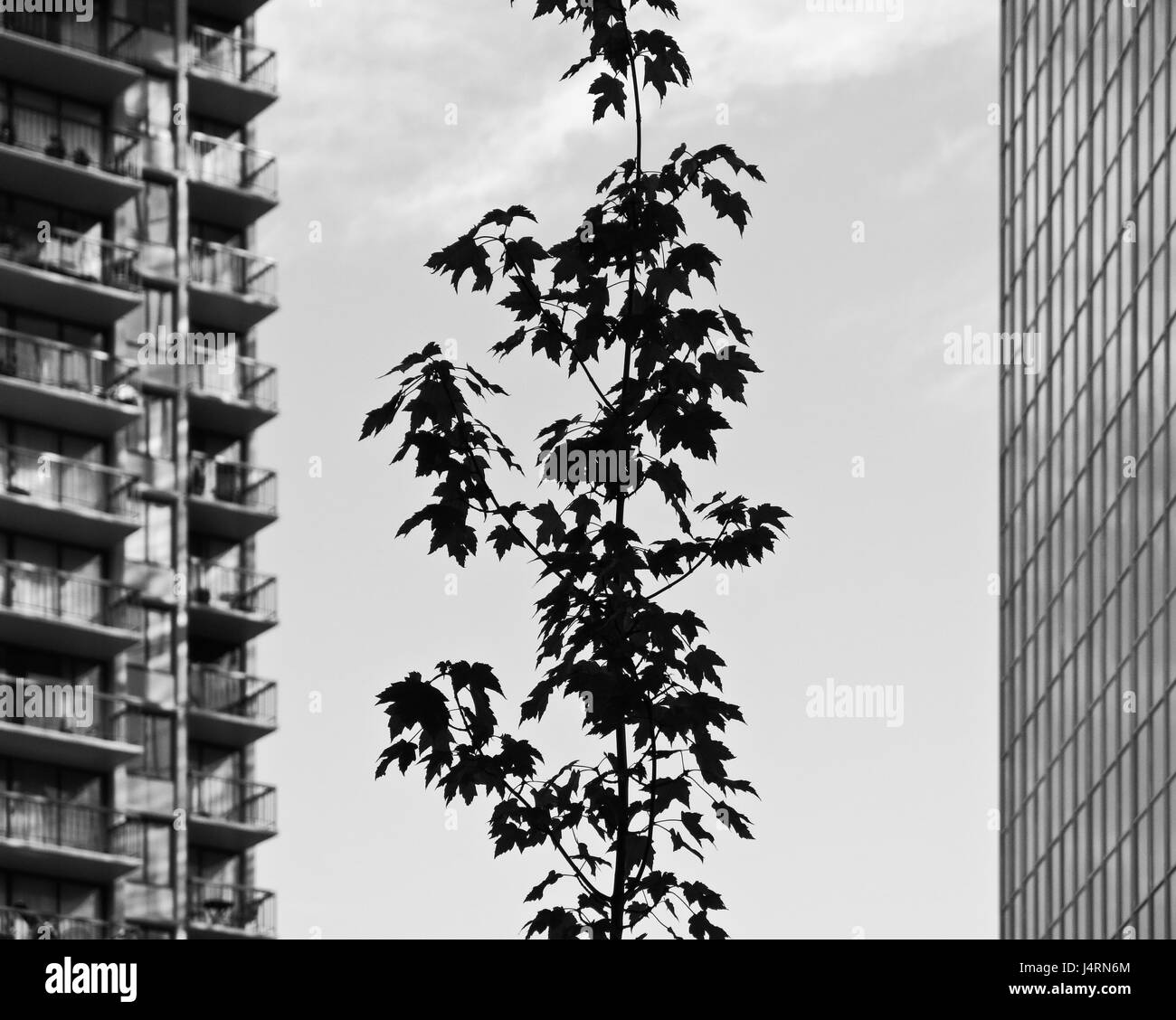 City urban growth Black and White Stock Photos & Images - Alamy