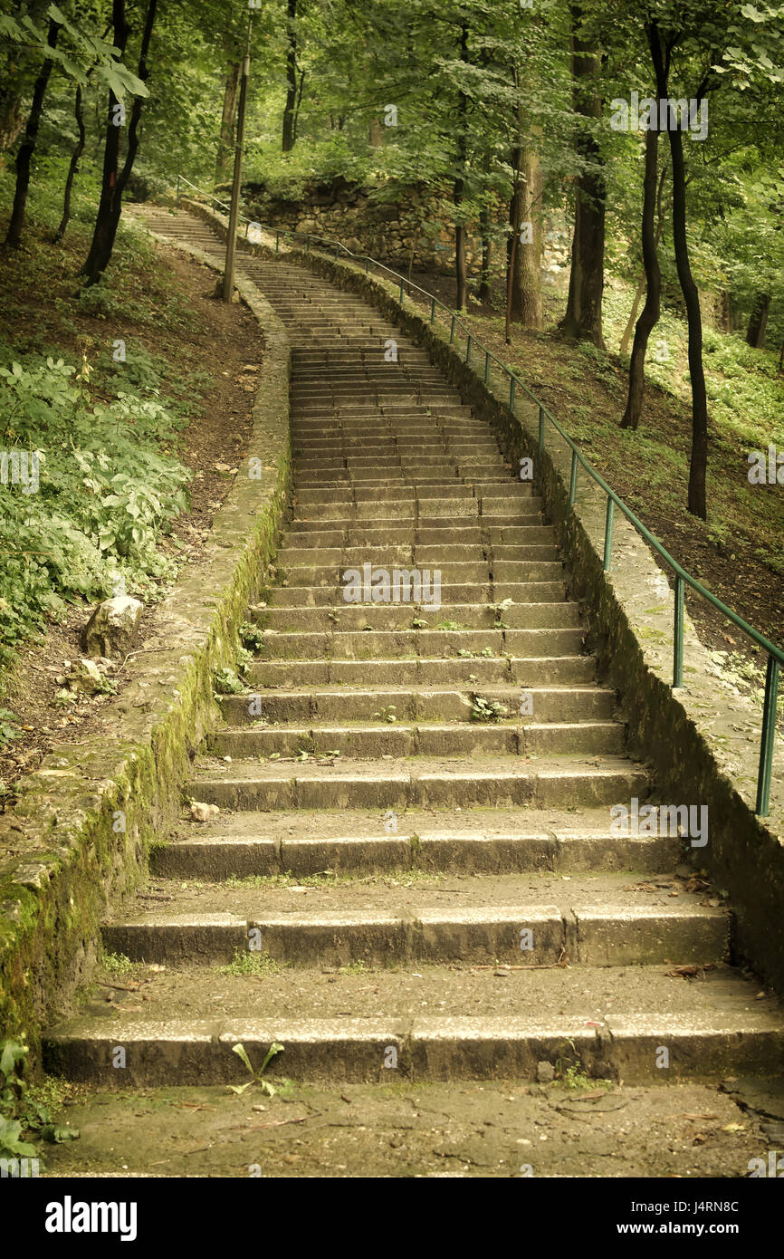 Stone stairs in the park Stock Photo - Alamy
