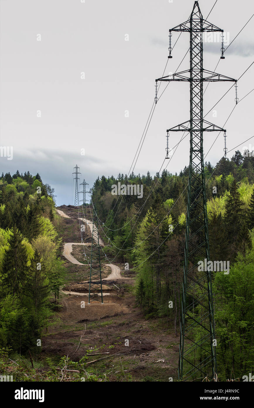 Newly constructed metal electric towers in the forest Stock Photo - Alamy