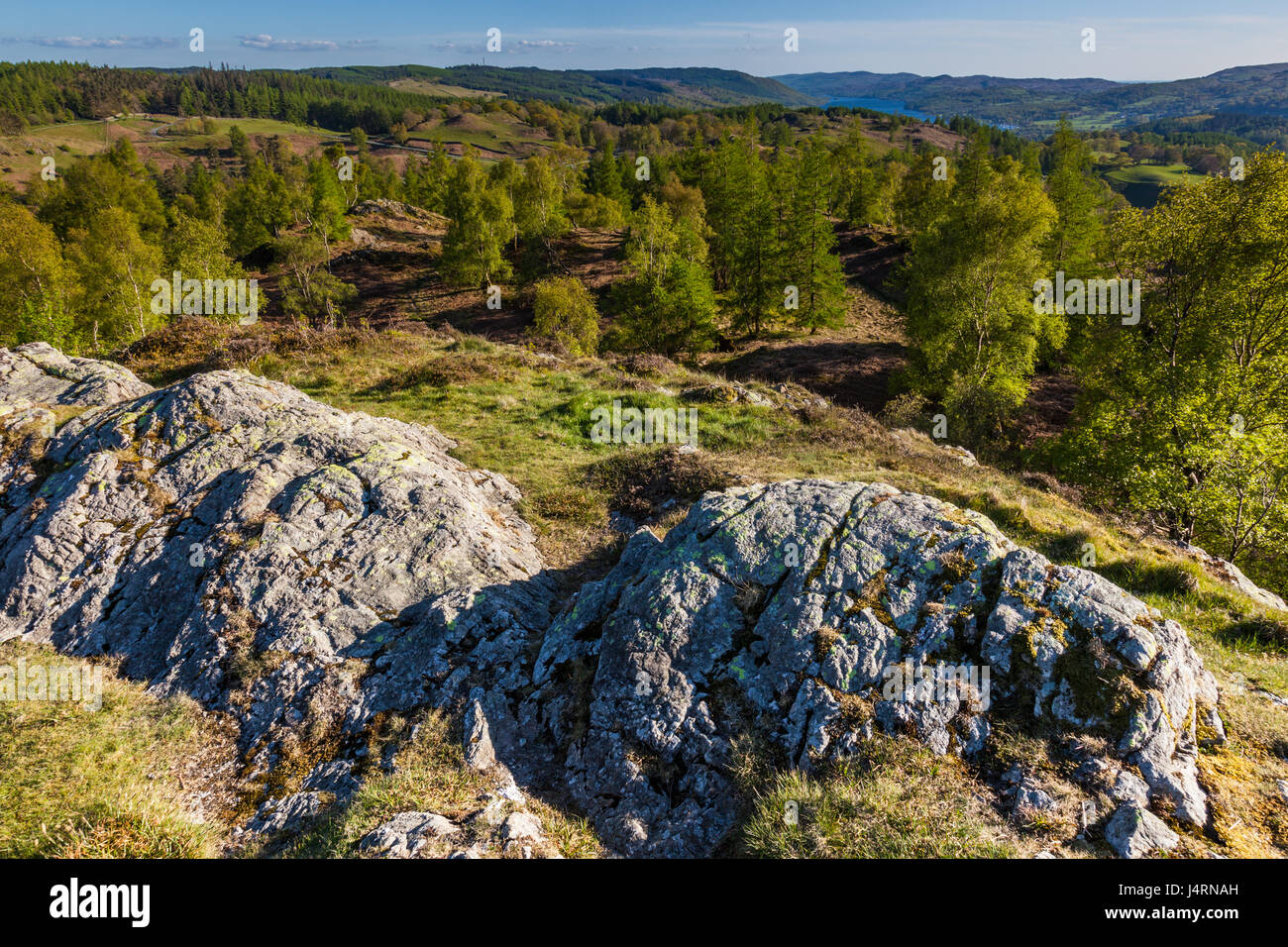 Silver spring heights hi-res stock photography and images - Alamy