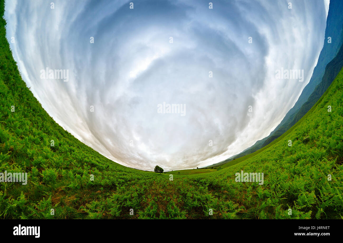 Stereographic panoramic projection of a green field with an aesthetic ...