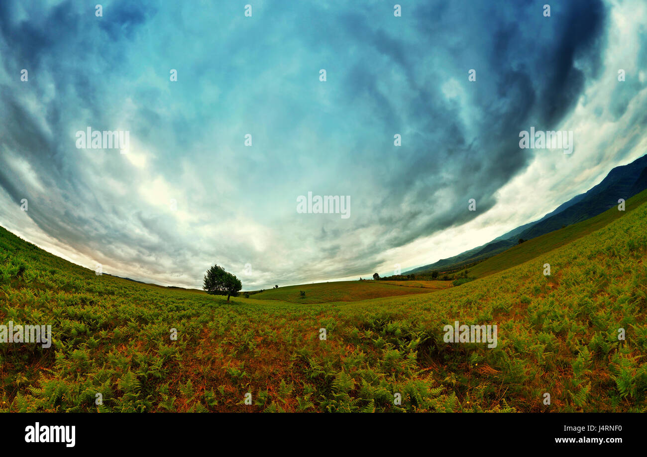 Stereographic panoramic projection of a green field with an aesthetic ...