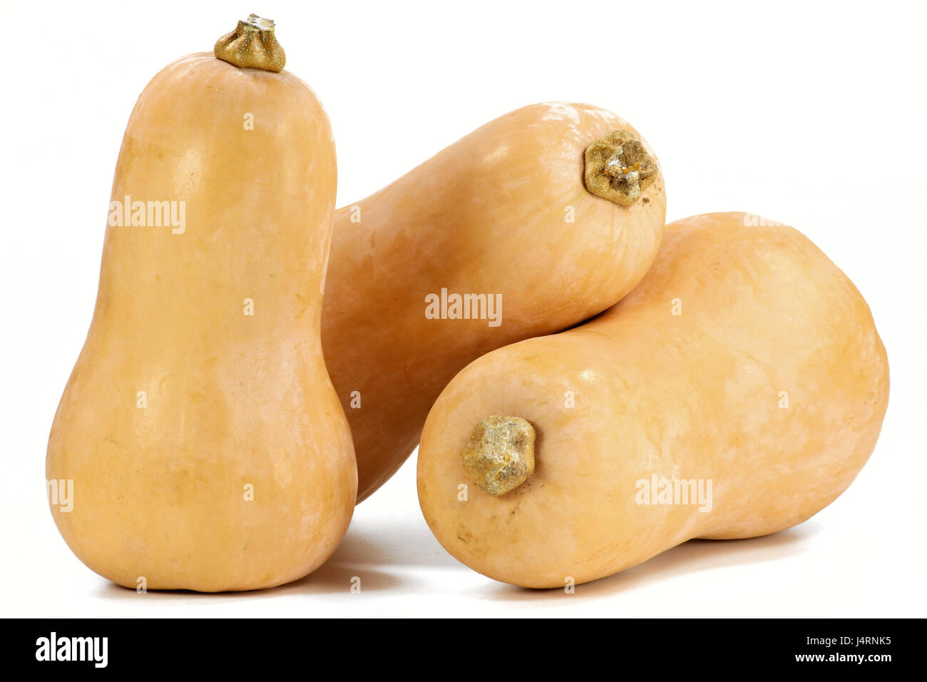 butternut squash isolated on white background Stock Photo - Alamy