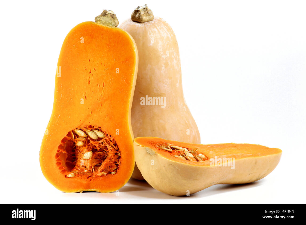 Cucurbita moschata butternut squash cross section hi-res stock ...