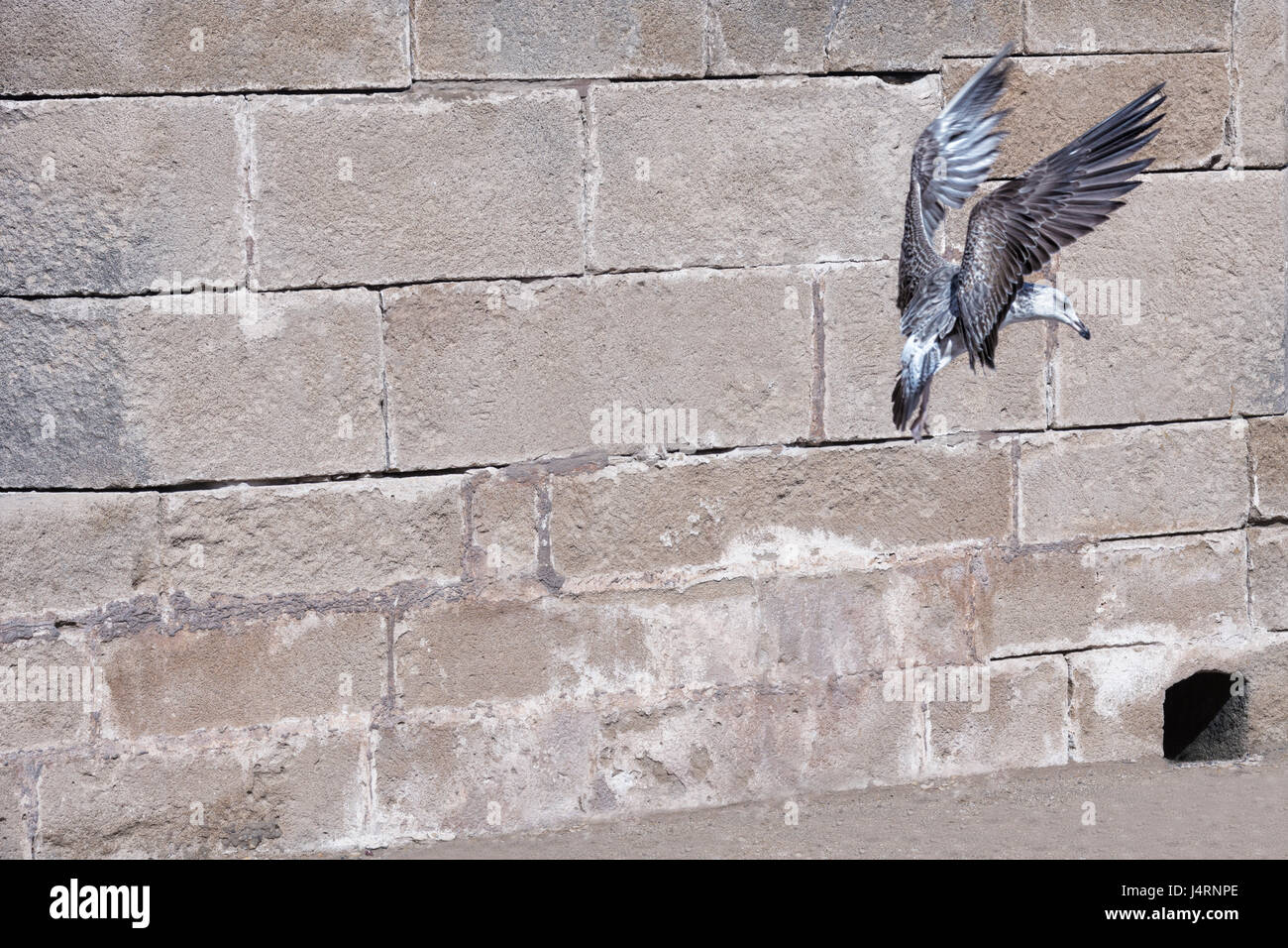 Spread out hi-res stock photography and images - Alamy