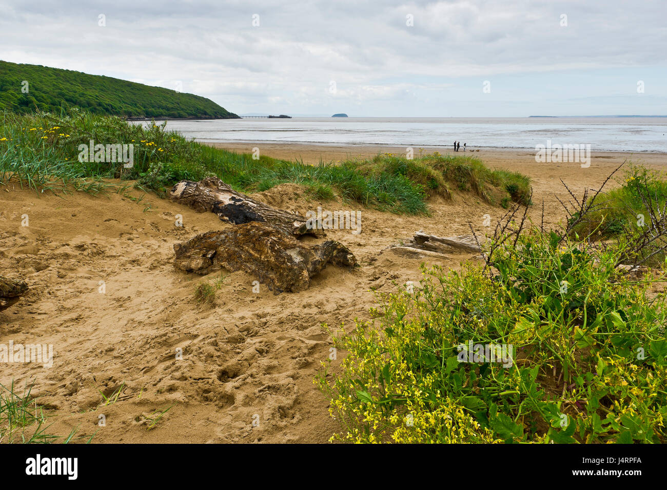 Sand Bay, Weston-Super-Mare, North Somerset, England Stock Photo - Alamy