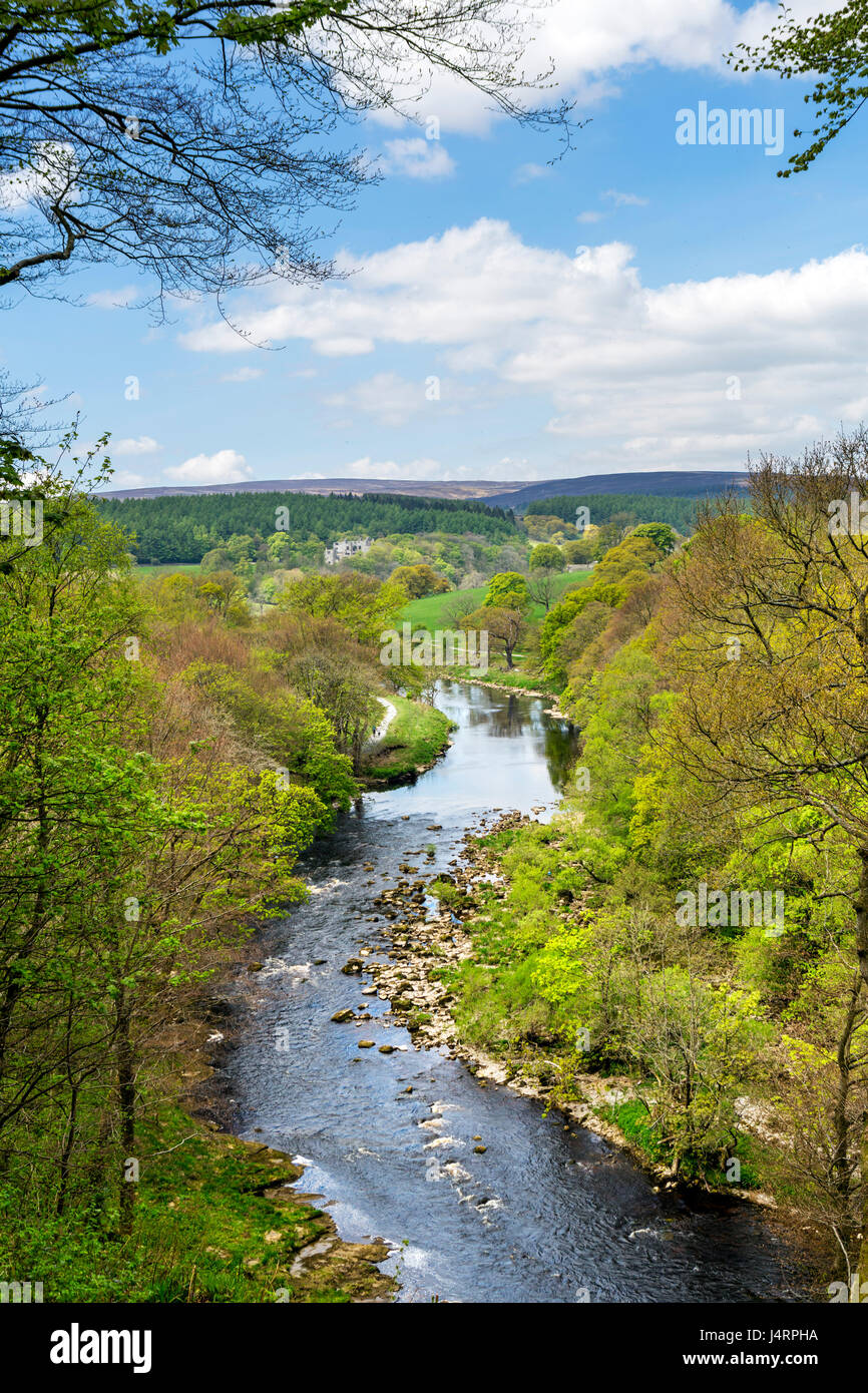Barden Tower and River Wharfe from Strid Wood, near Bolton Abbey ...