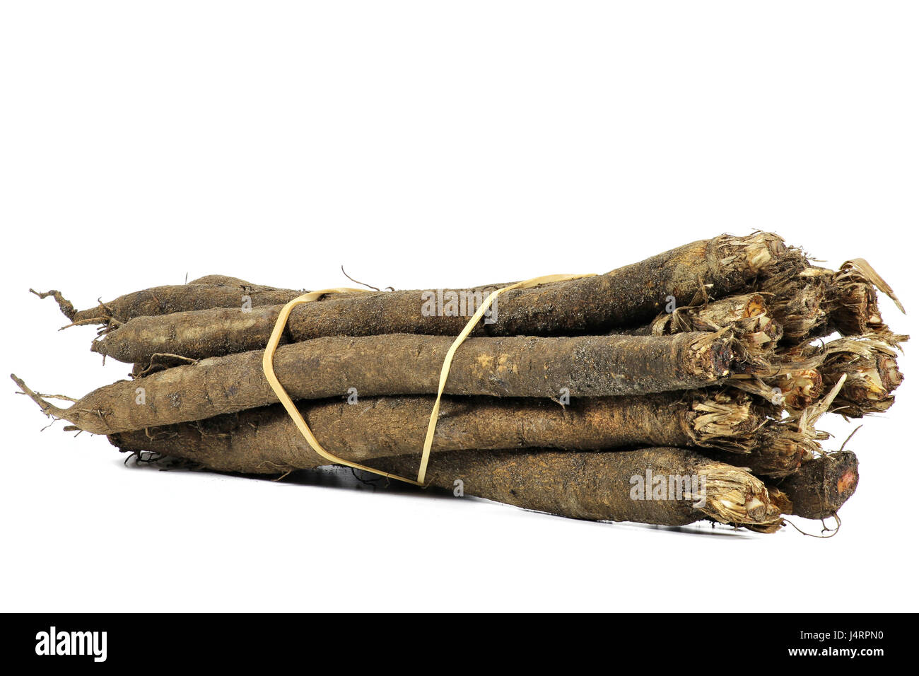 black salsifies isolated on white background Stock Photo - Alamy