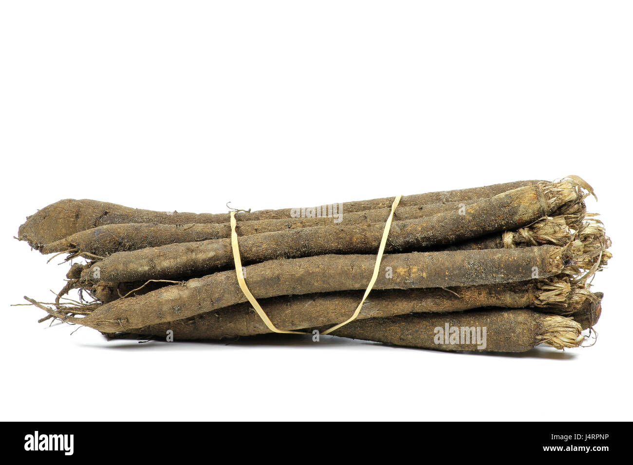black salsifies isolated on white background Stock Photo - Alamy