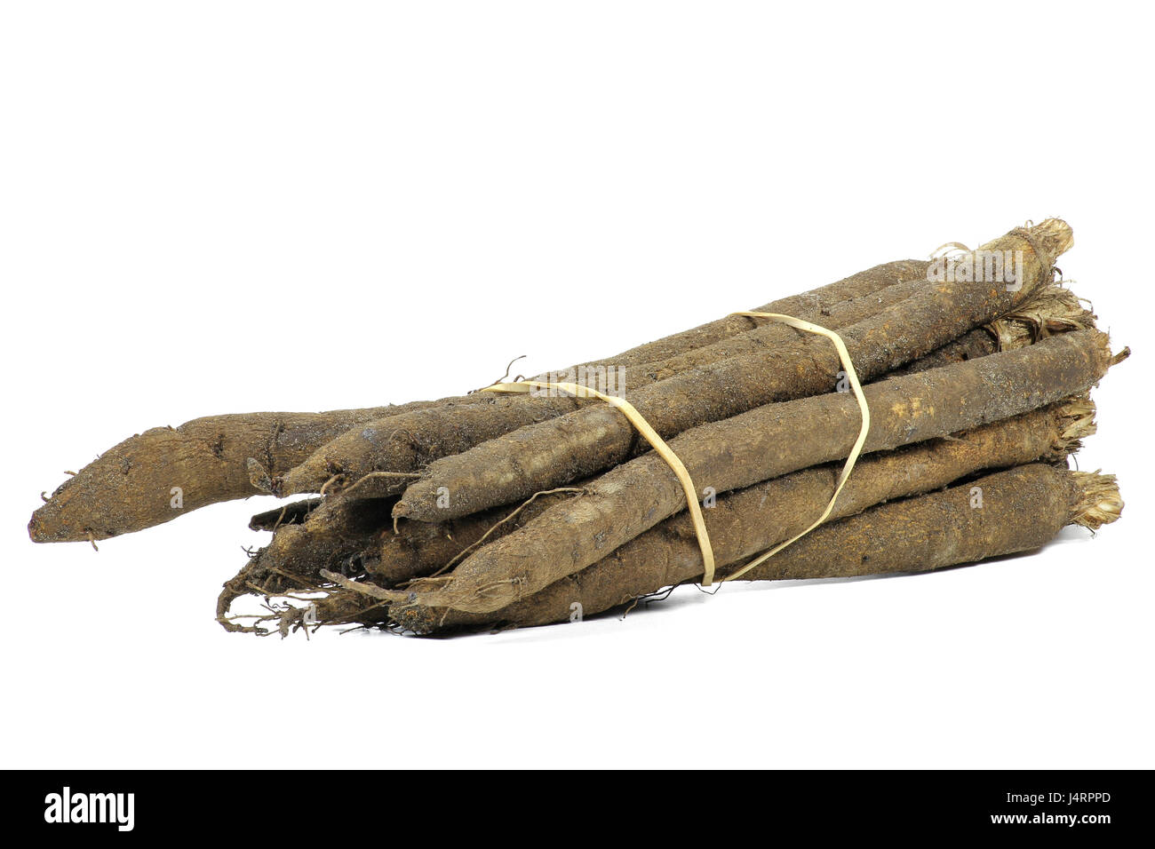 black salsifies isolated on white background Stock Photo - Alamy