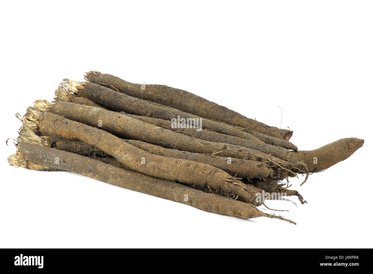 black salsifies isolated on white background Stock Photo - Alamy