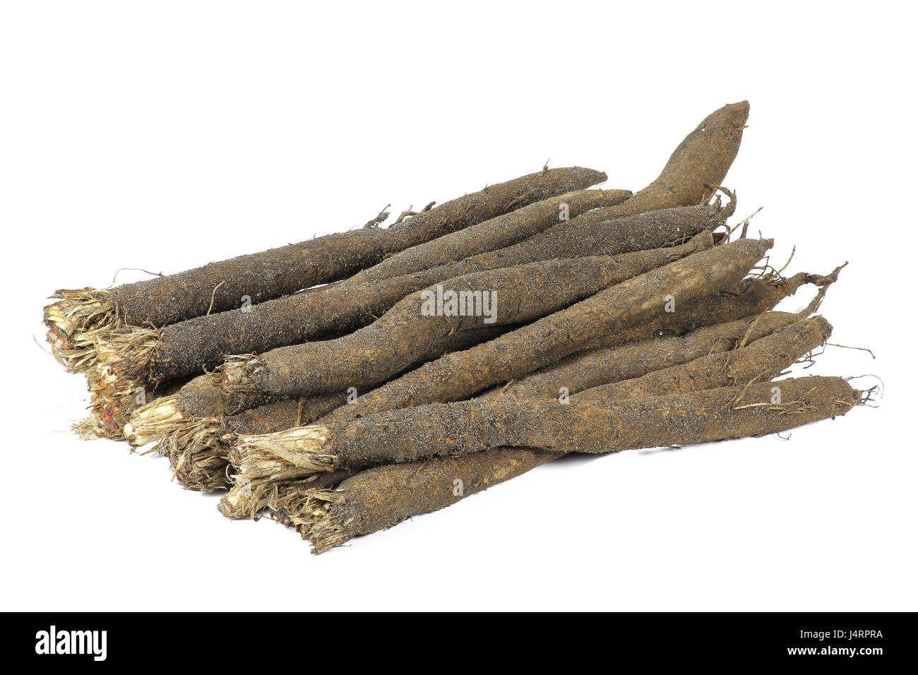 black salsifies isolated on white background Stock Photo - Alamy