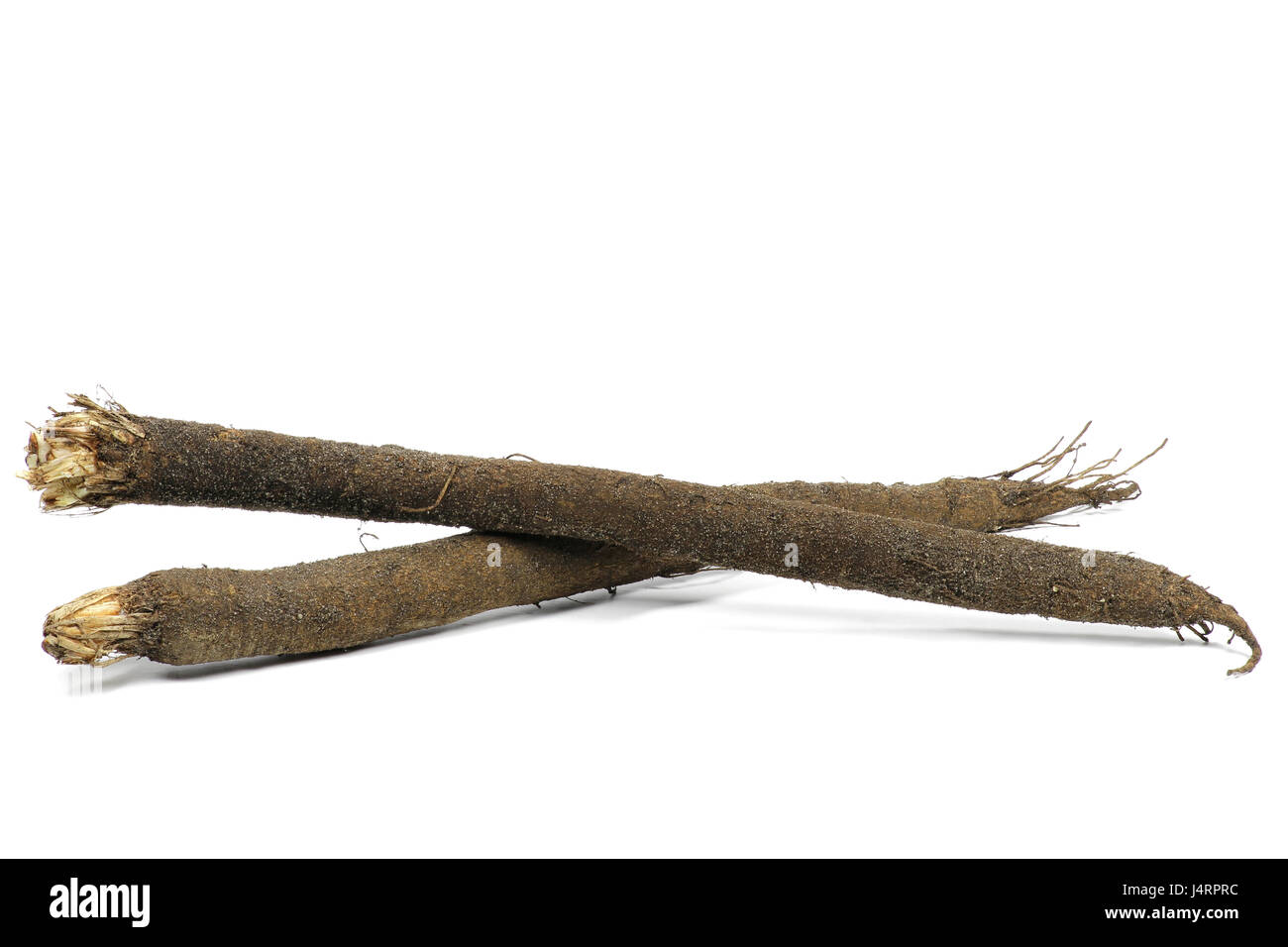 black salsifies isolated on white background Stock Photo - Alamy