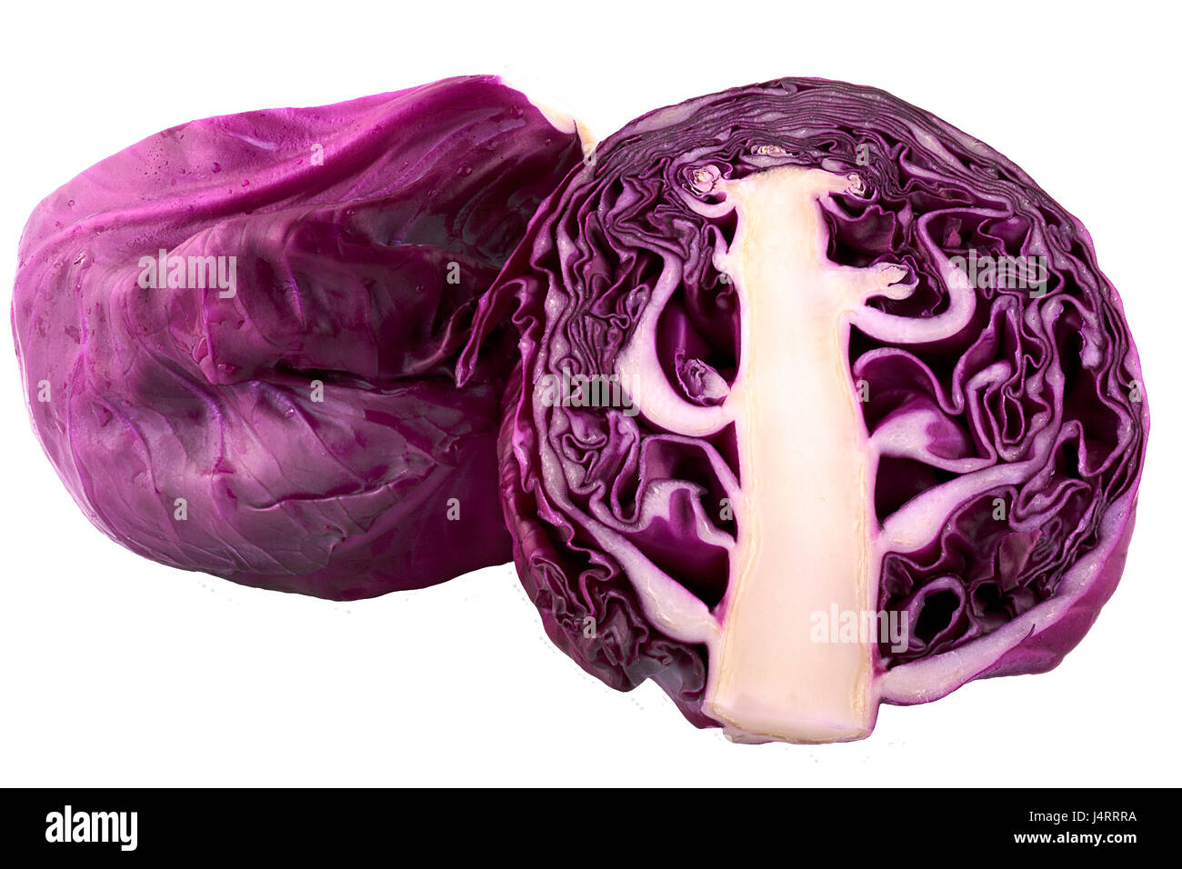 Isolated red cabbage over white background Stock Photo - Alamy