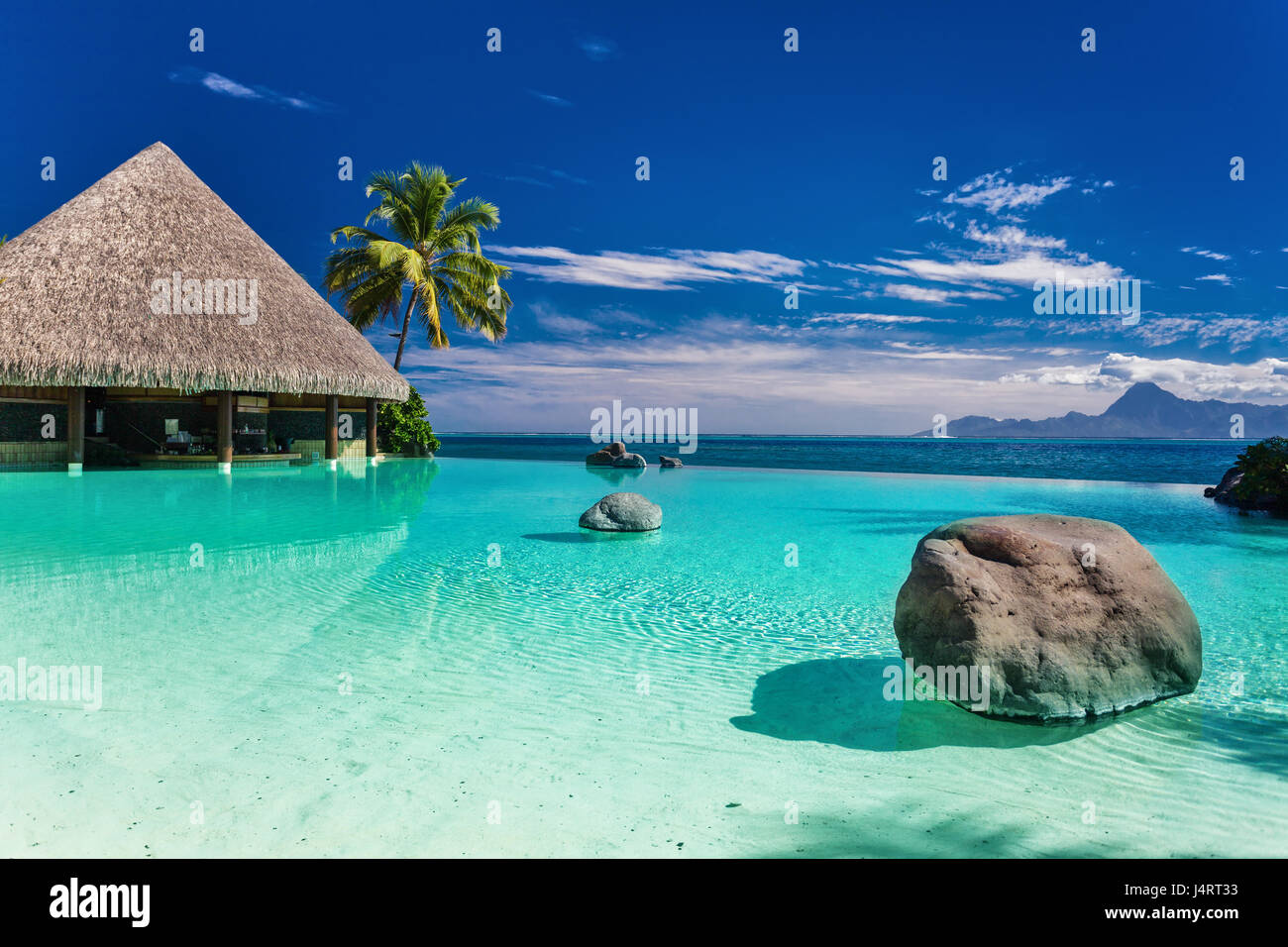 Infinity pool with palm tree rocks, Tahiti island, French Polynesia ...