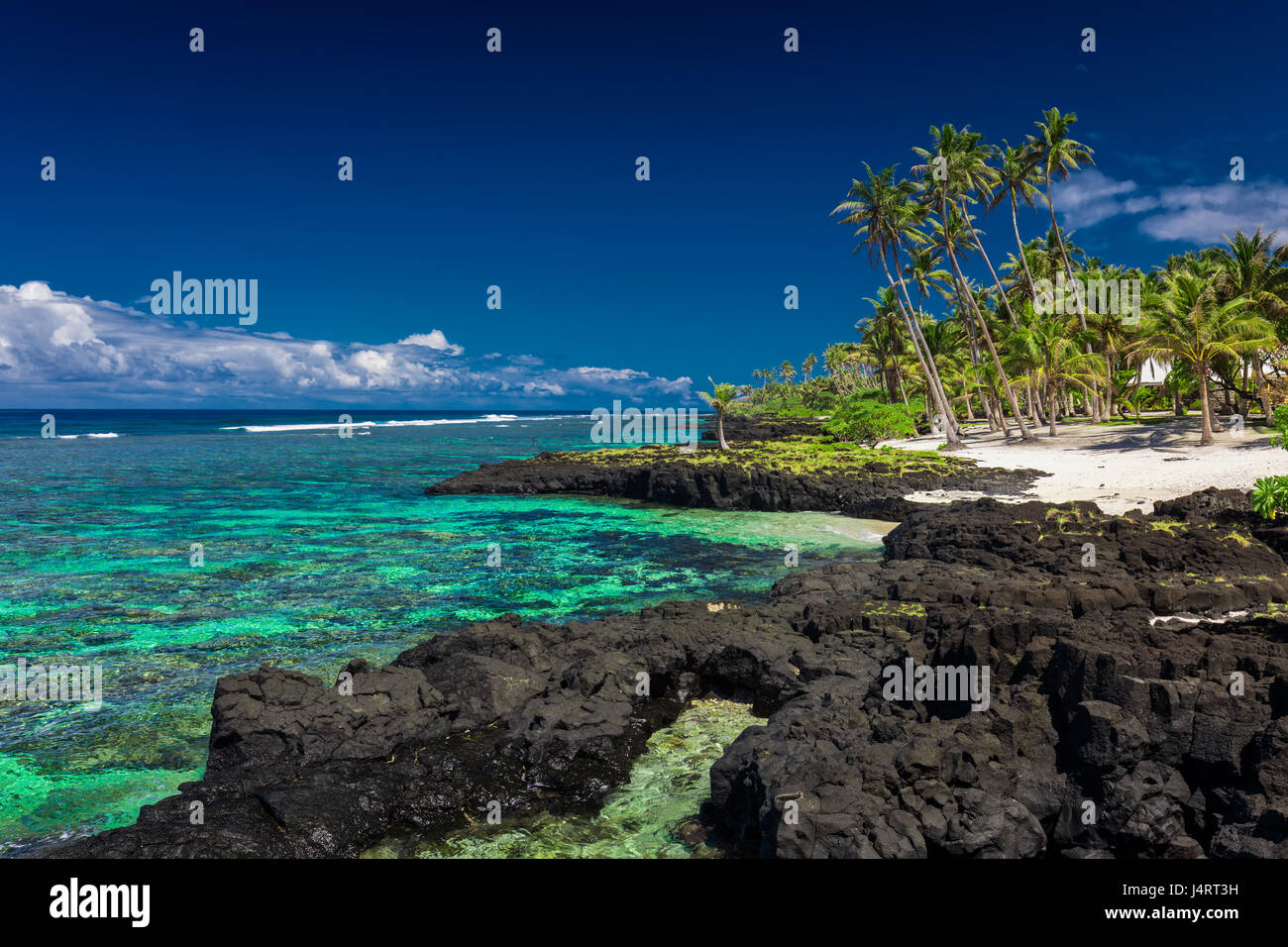 Coral reef on south side of Upolu, Samoa Islands Stock Photo - Alamy