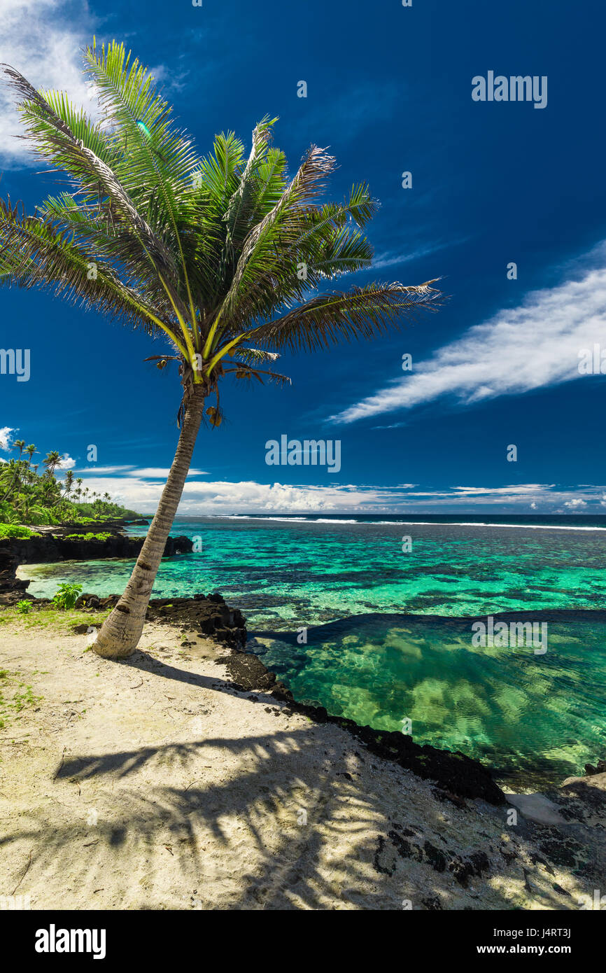 Natural infinity rock pool with palm trees over tropical ocean lagoon ...