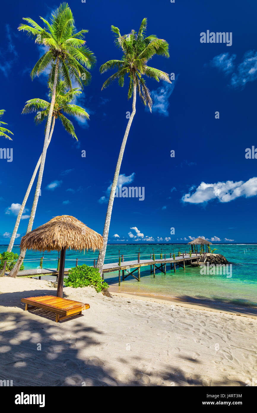 Beach scene with palm trees hi-res stock photography and images - Alamy