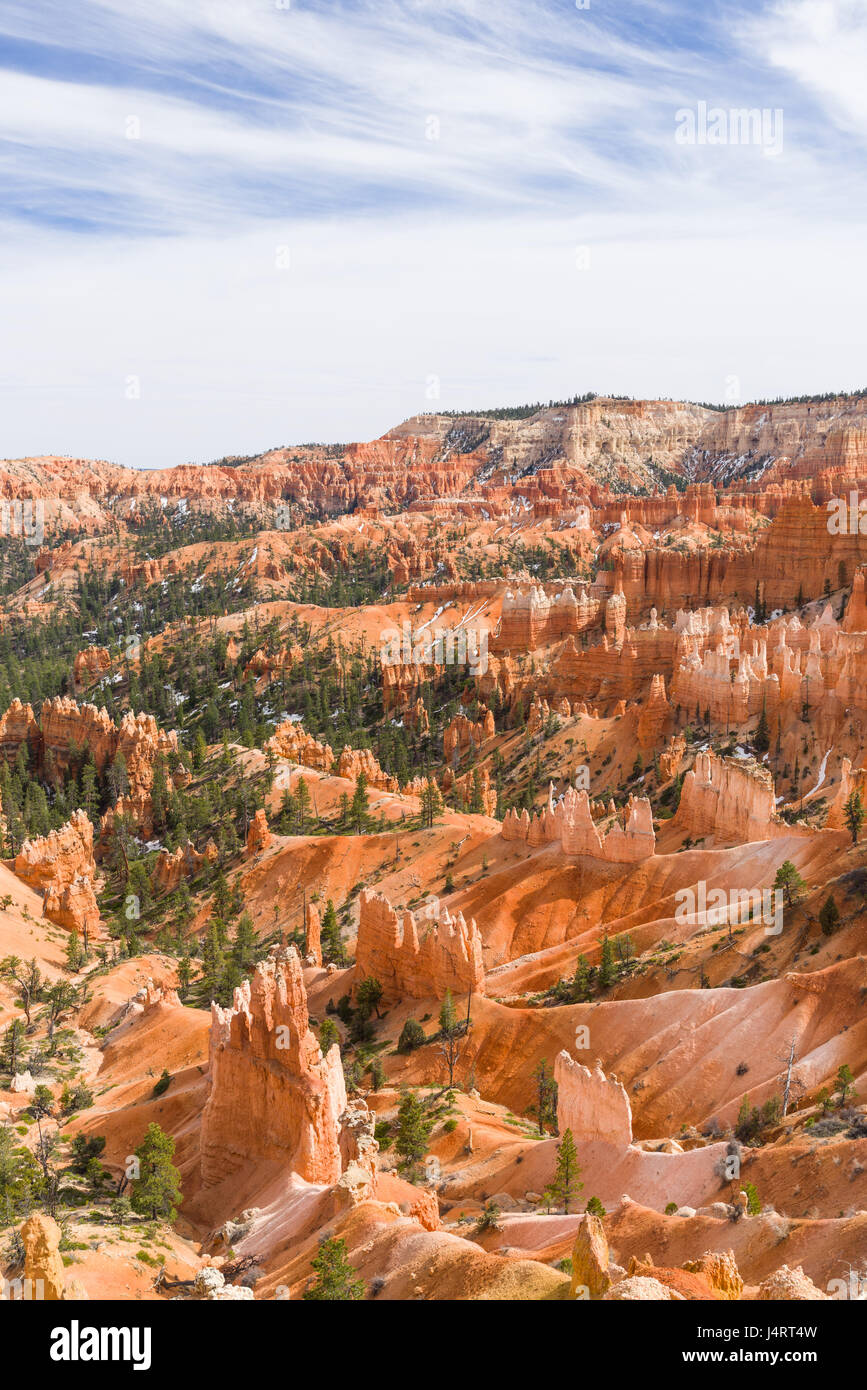 Looking out over the orange sandstone pillars of Bryce Canyon from the ...