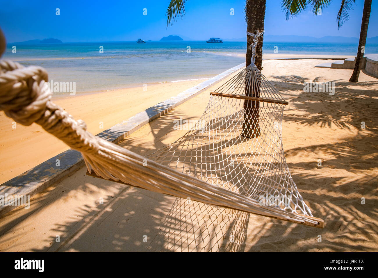 beach cradle under coconut tree with blue sea background for summer ...