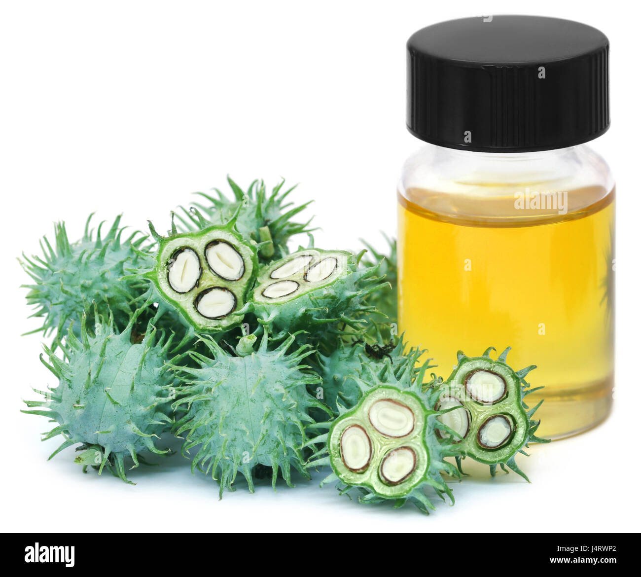 Castor oil with green beans over white background Stock Photo - Alamy