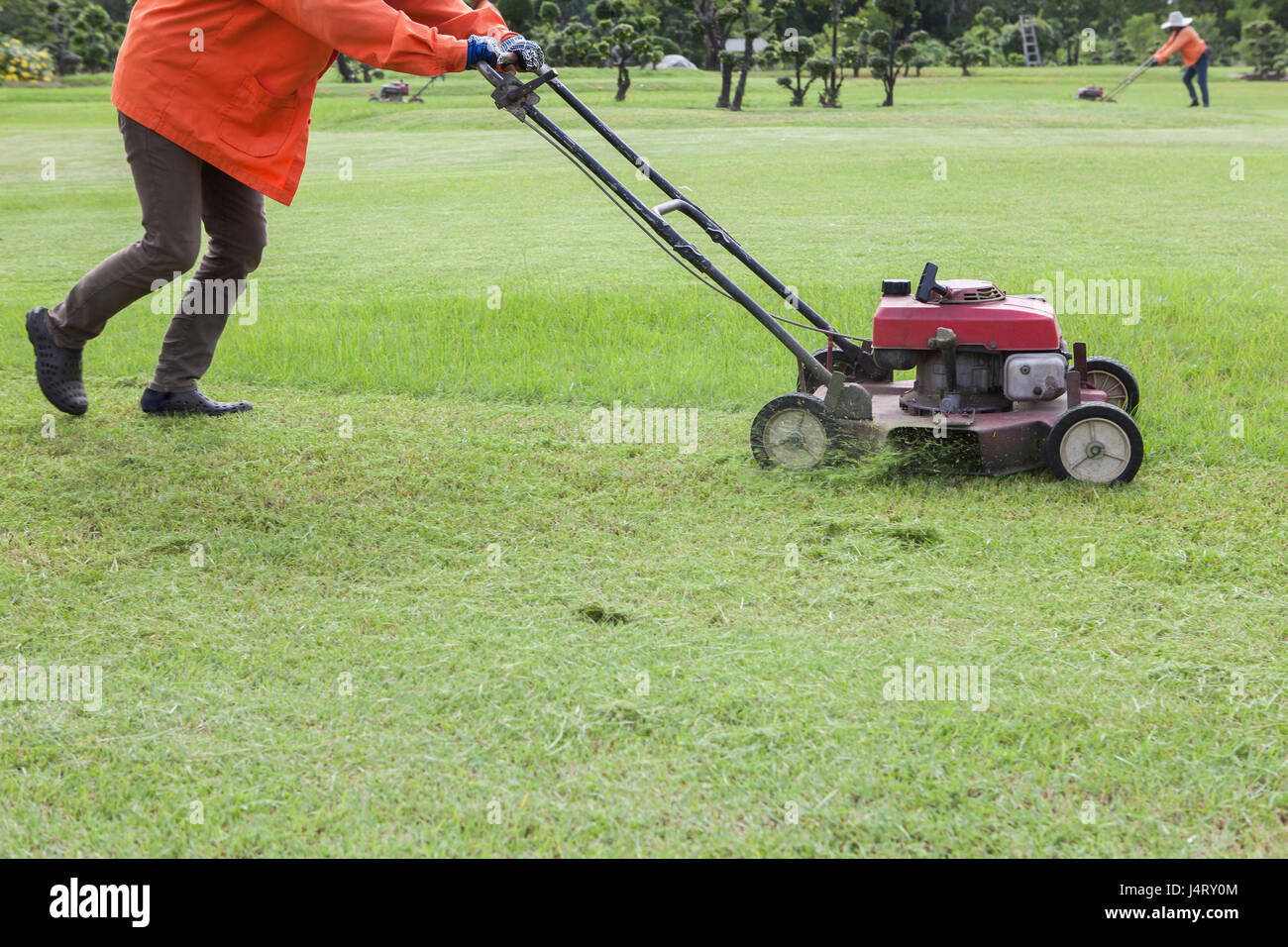 worker and lawn mower working in green grass field Stock Photo - Alamy