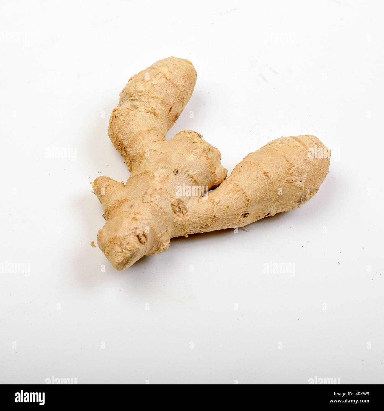 Fresh and organic Ginger root on white background Stock Photo - Alamy